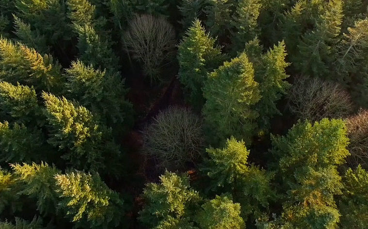 Crippa Concept | Luxury Mobile-Homes and Lodges – Mobile Homes, Ideas ...